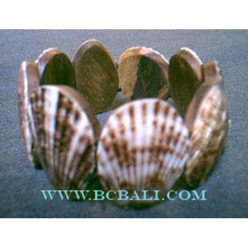 Sea Shell Bracelets From Bali - Fashion Accessories Shells, Woman ...